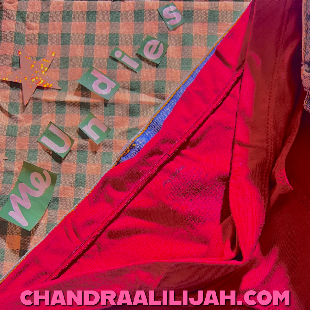 MeUndies are my new favorite undergarments in 2026 - The Chandra Alilijah